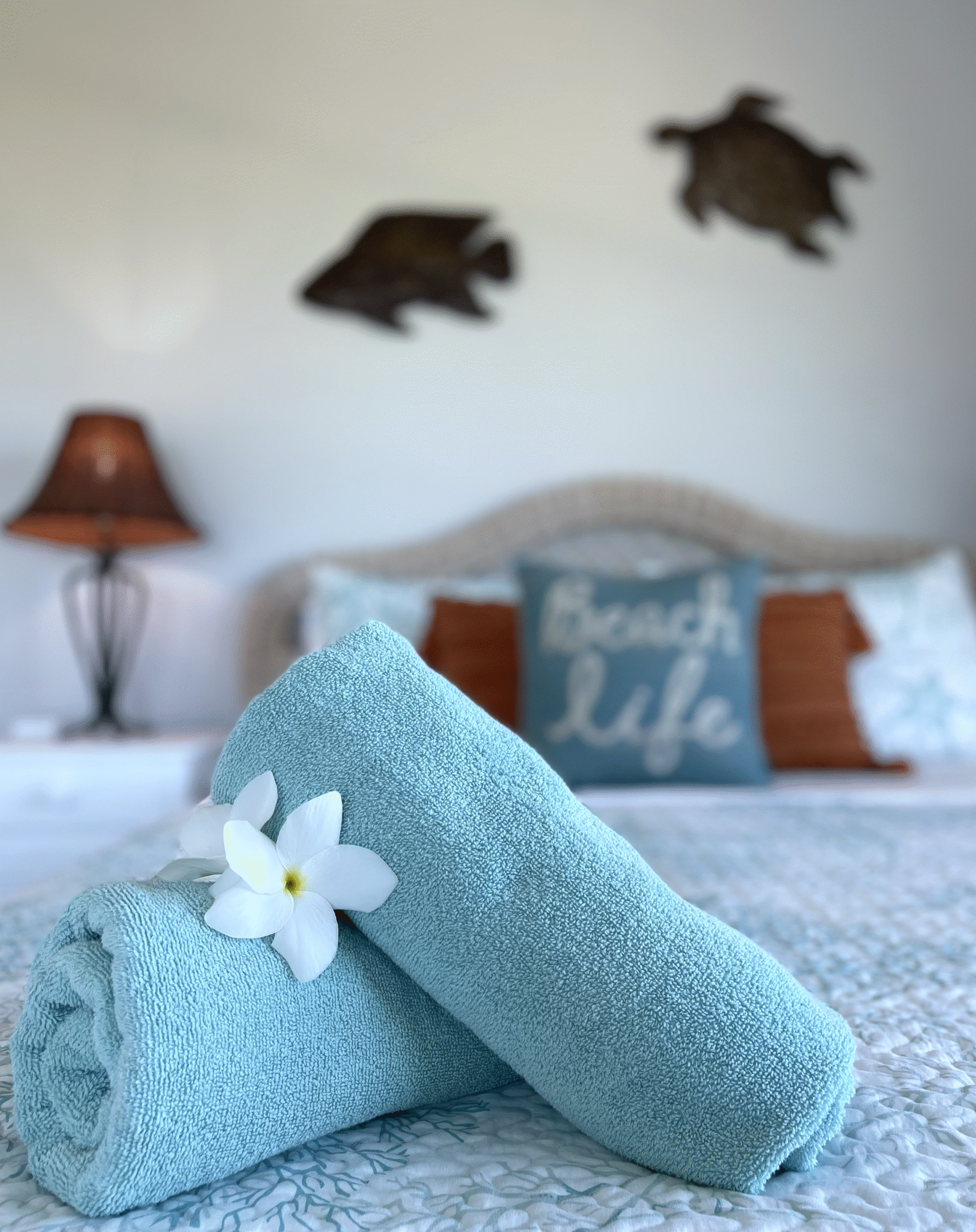 Sandy Bottoms Cay awaits your arrival! – Sandy Bottoms Cay
